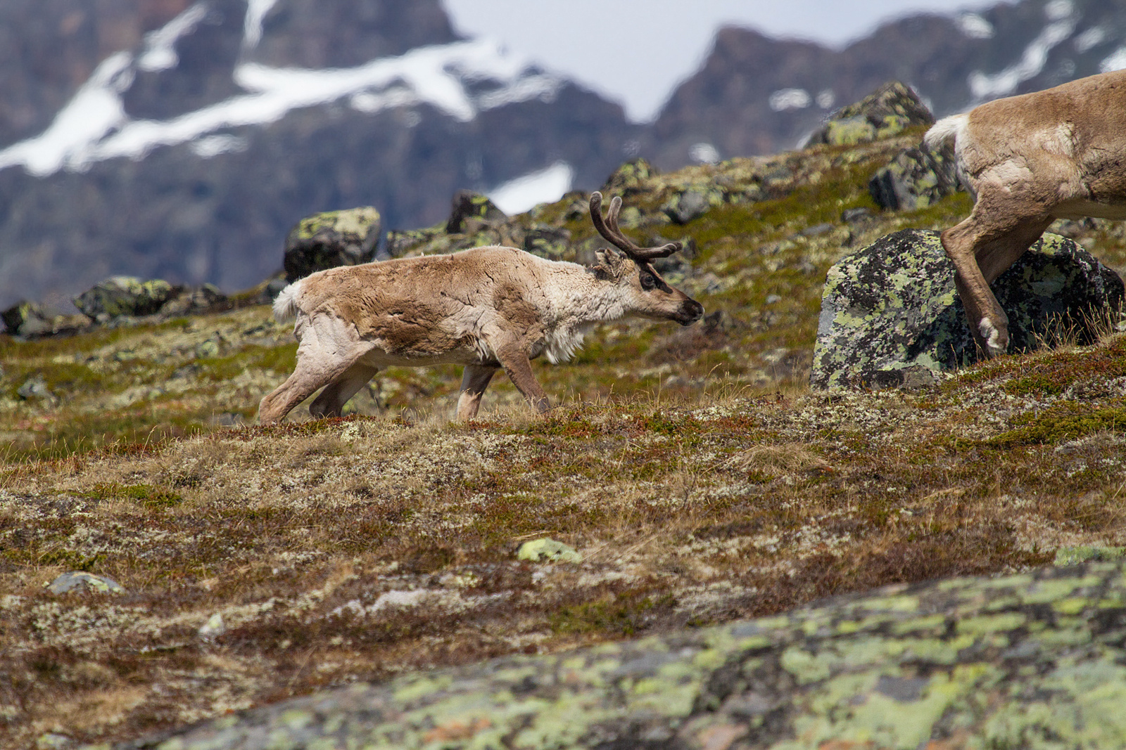 Besseggen, Nationaal Park Jotunheimen, Reisverslag Noorwegen ...
