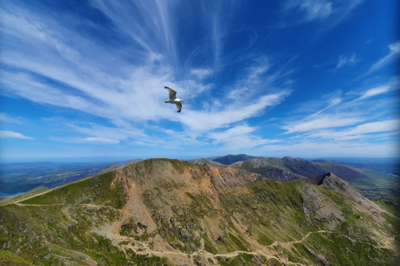 Hiken naar de hoogste berg van Wales: Mt Snowdon in Snowdonia ...