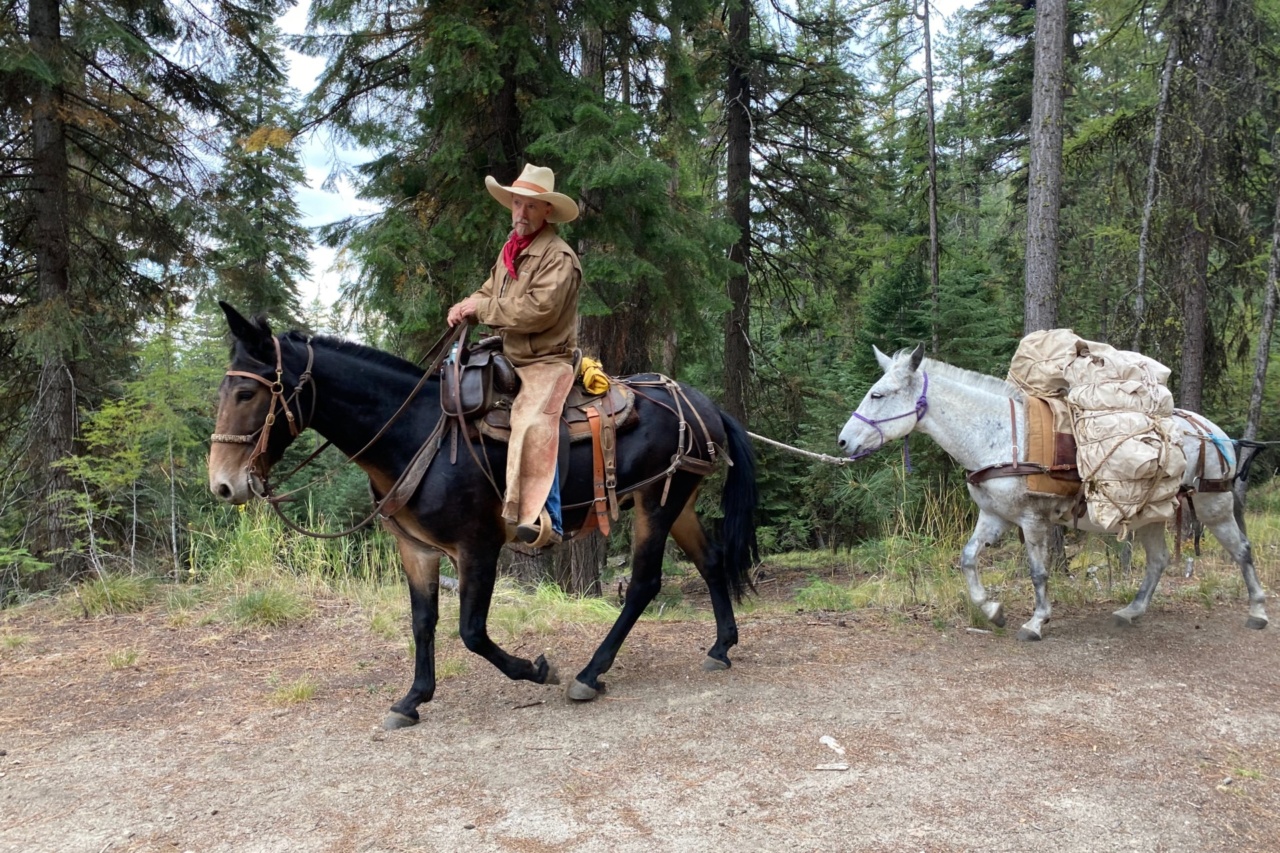 Outdooractiviteiten in de Blue Mountains in Oregon - Mountainreporters