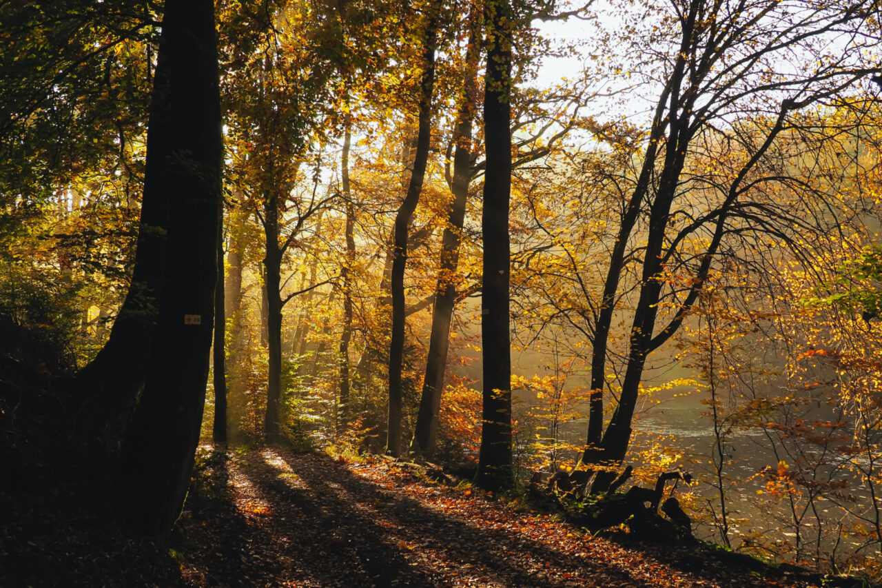 Entre Lesse et Lomme, een vierdaagse trektocht in de Ardennen ...