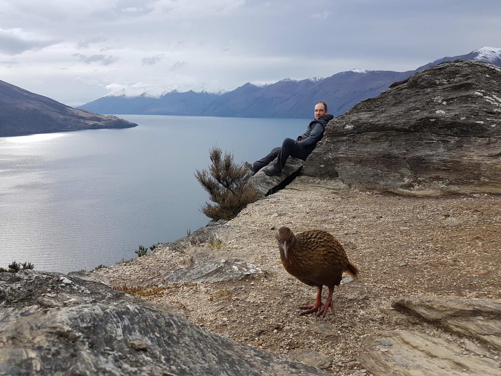 De meest bijzondere dieren van Nieuw-Zeeland én waar je ze kunt zien ...