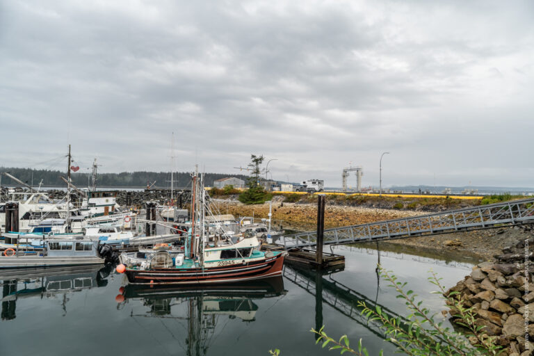 Hiken en een walvis op Malcom Island in West-Canada - Mountainreporters ...