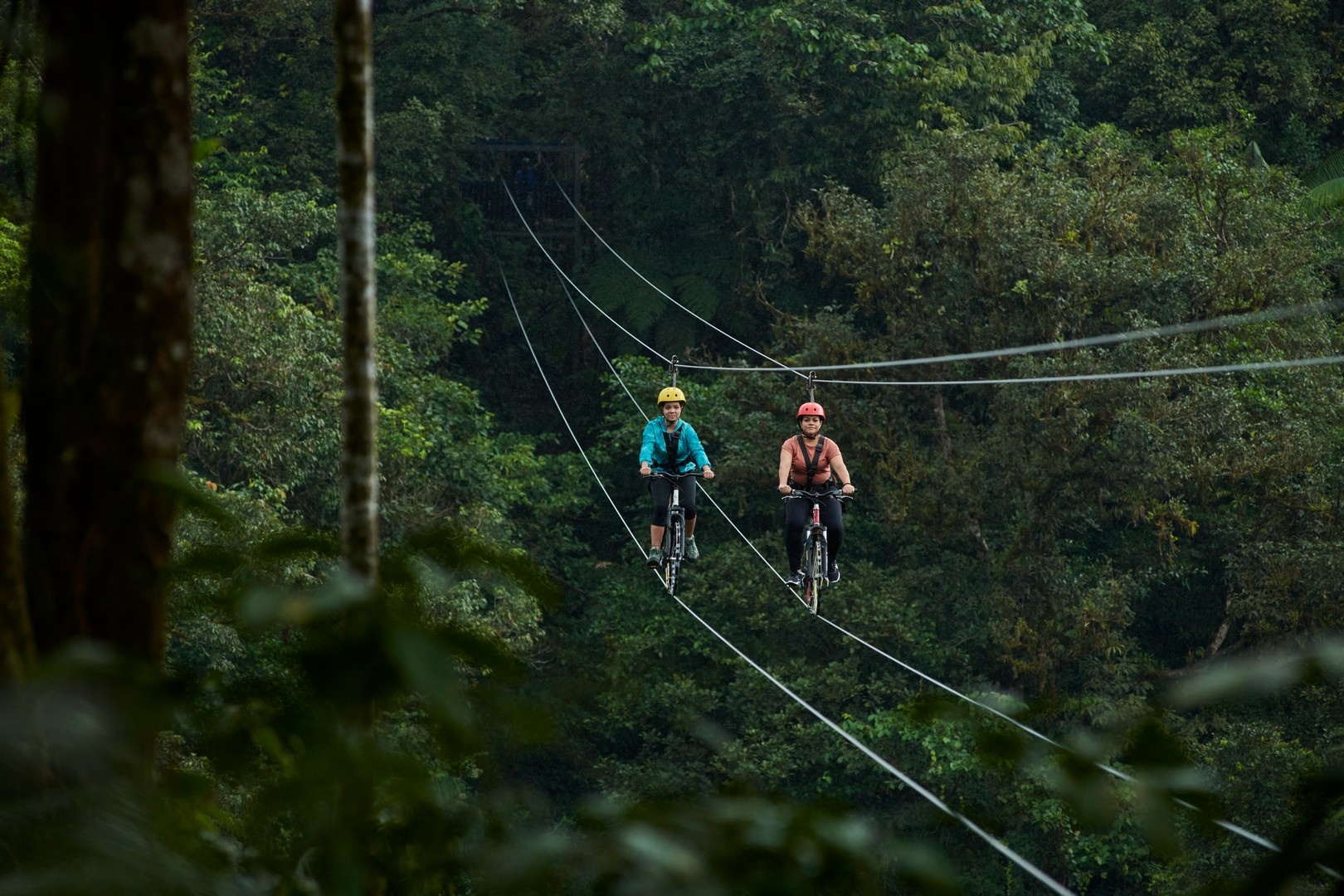 Zipline, surf en duik: actief in de natuur van Costa Rica ...